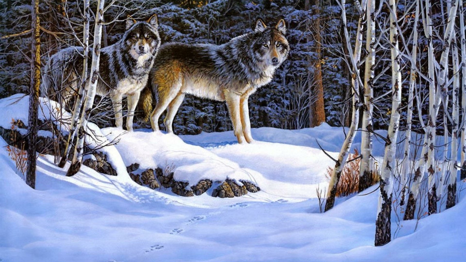 Winter Wolves in a Snowy Forest