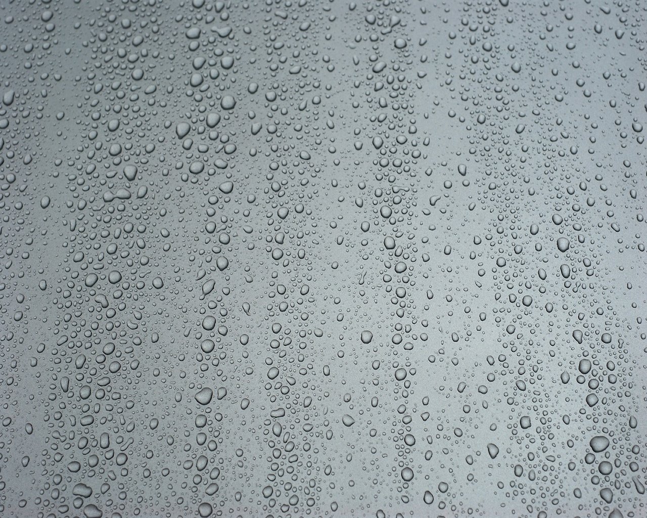 Download Photography Raindrops Image