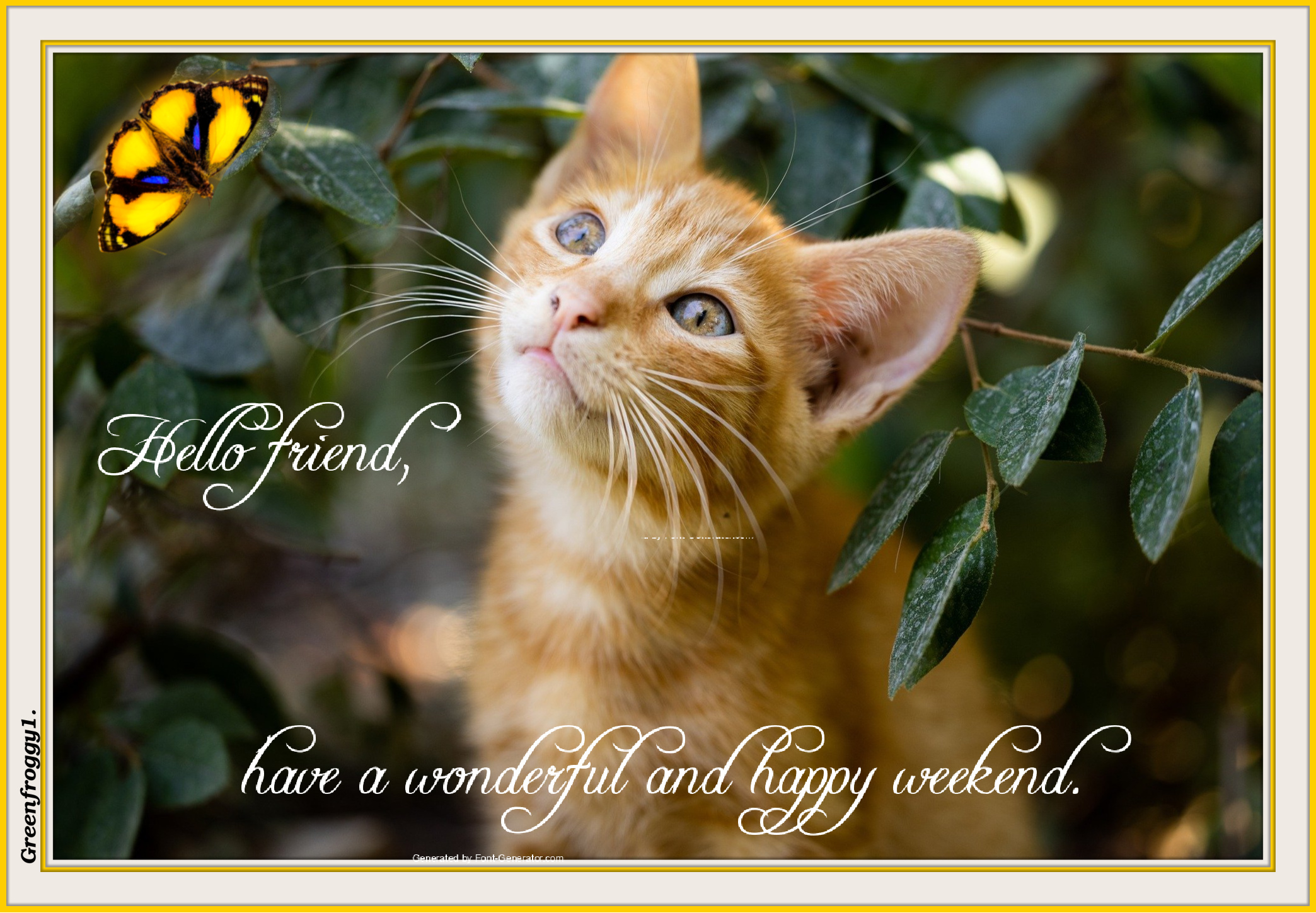 WONDERFUL WEEKEND by GREENFROGGY1