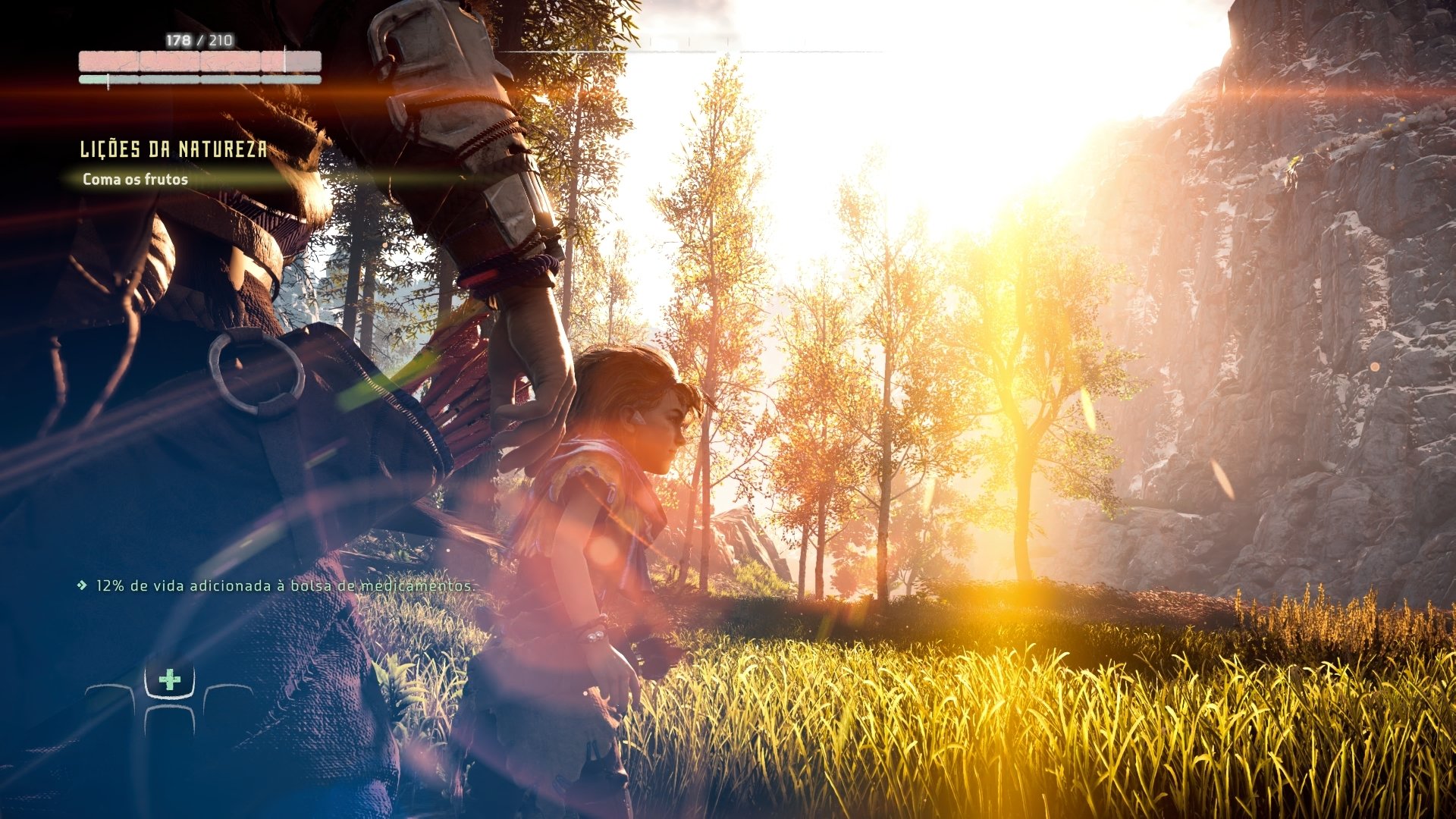 Download Video Game Horizon Zero Dawn Image