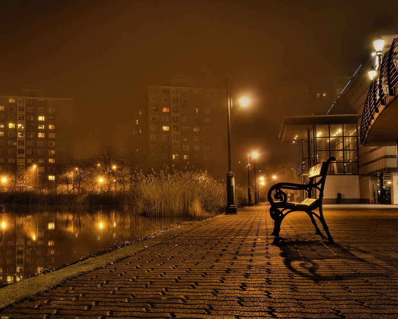 Serene Night Scene with a Man-Made Bench