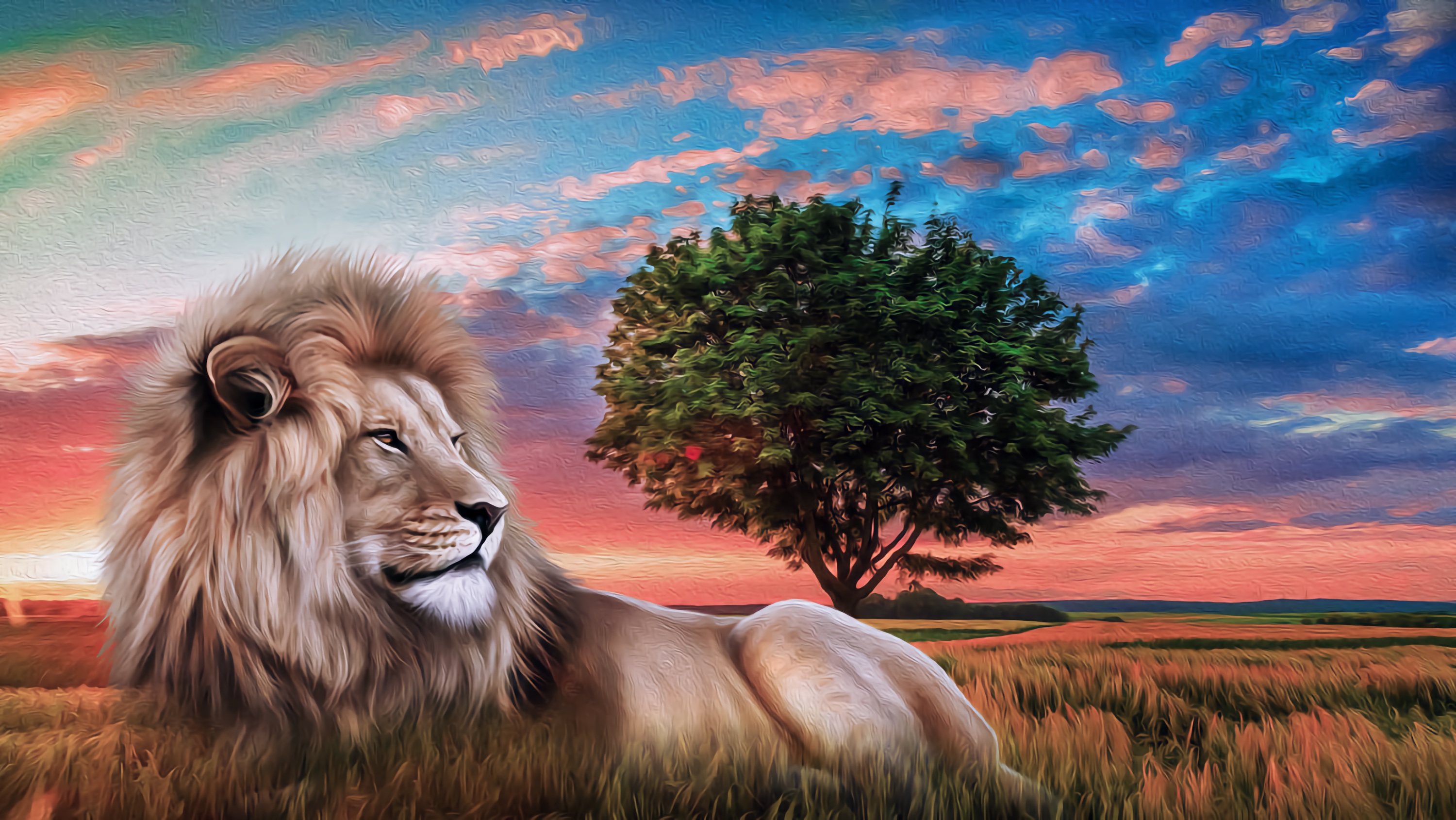 Lion Picture - Image Abyss