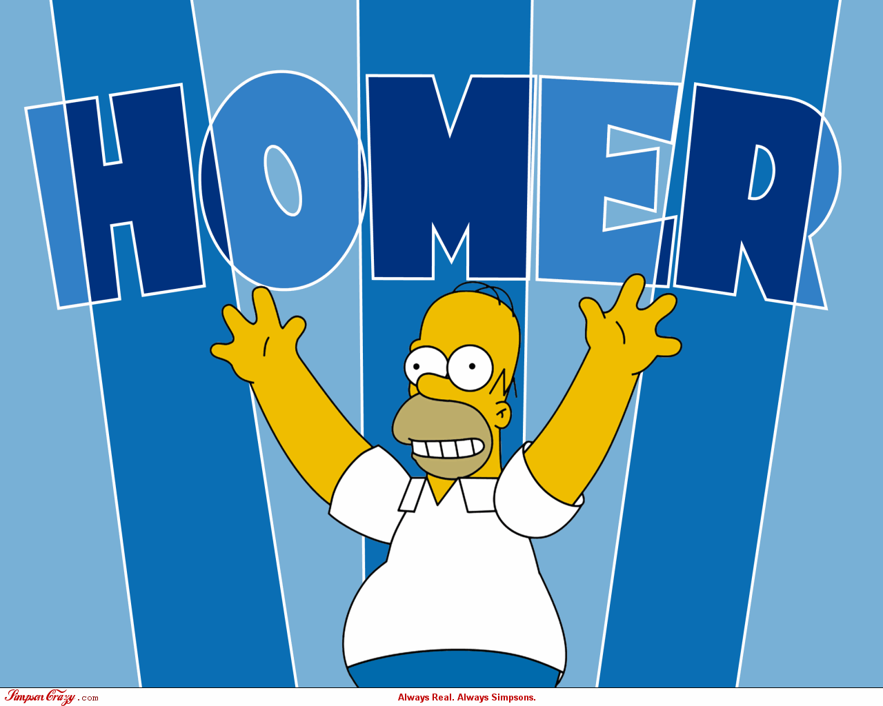 Download Homer Simpson TV Show The Simpsons Image