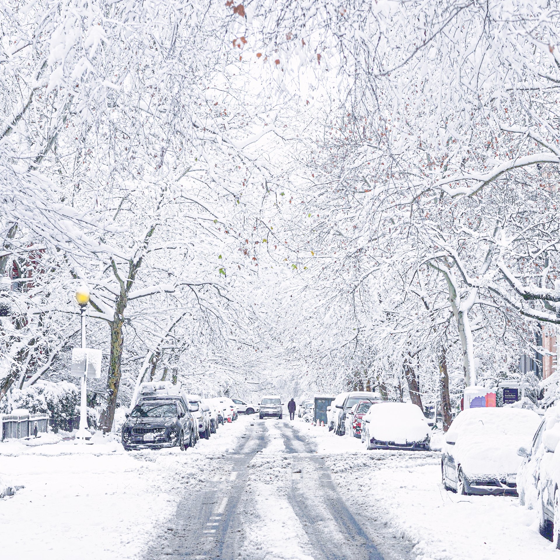 Download Snow Street Photography Winter Image