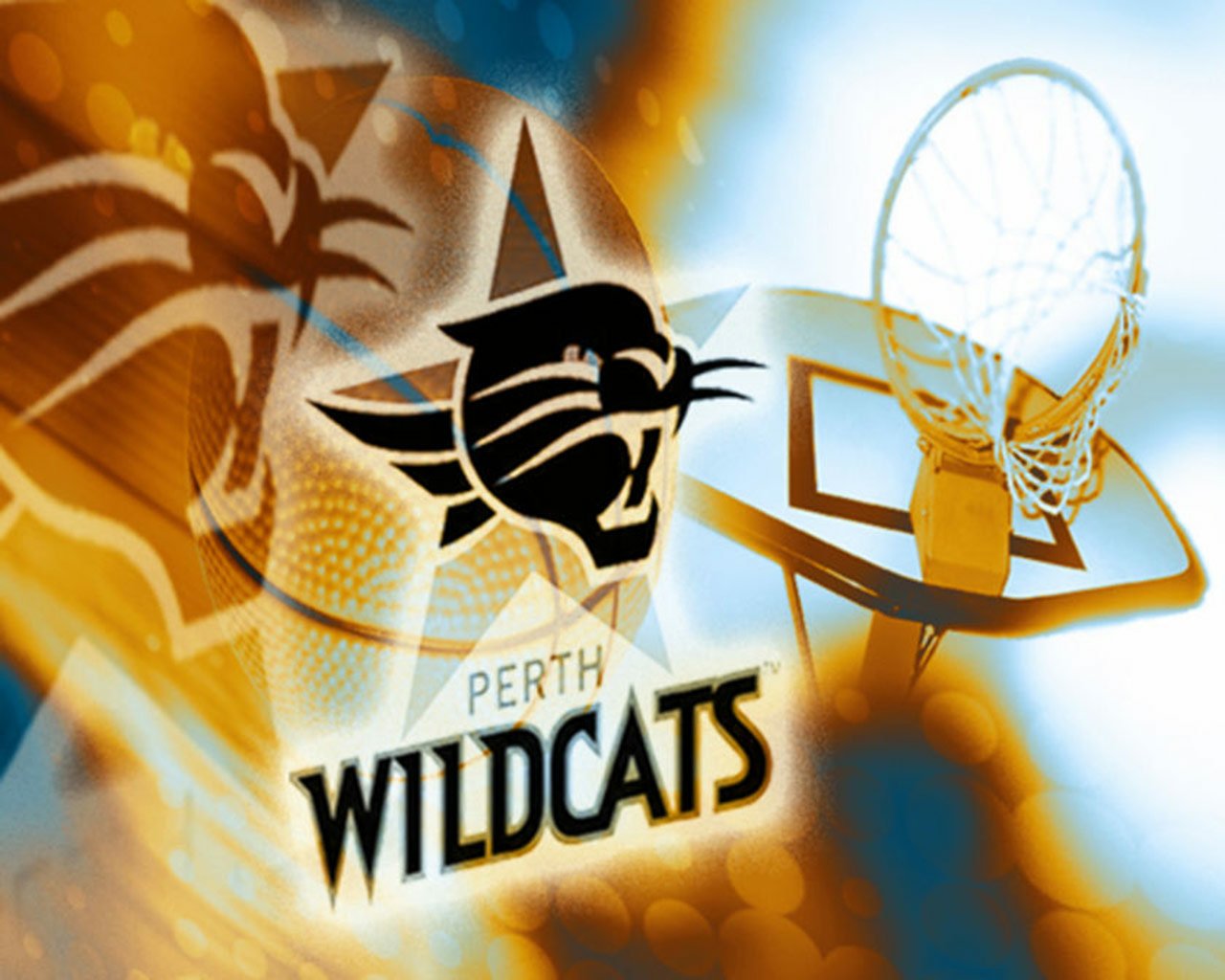 perth wildcats Picture - Image Abyss