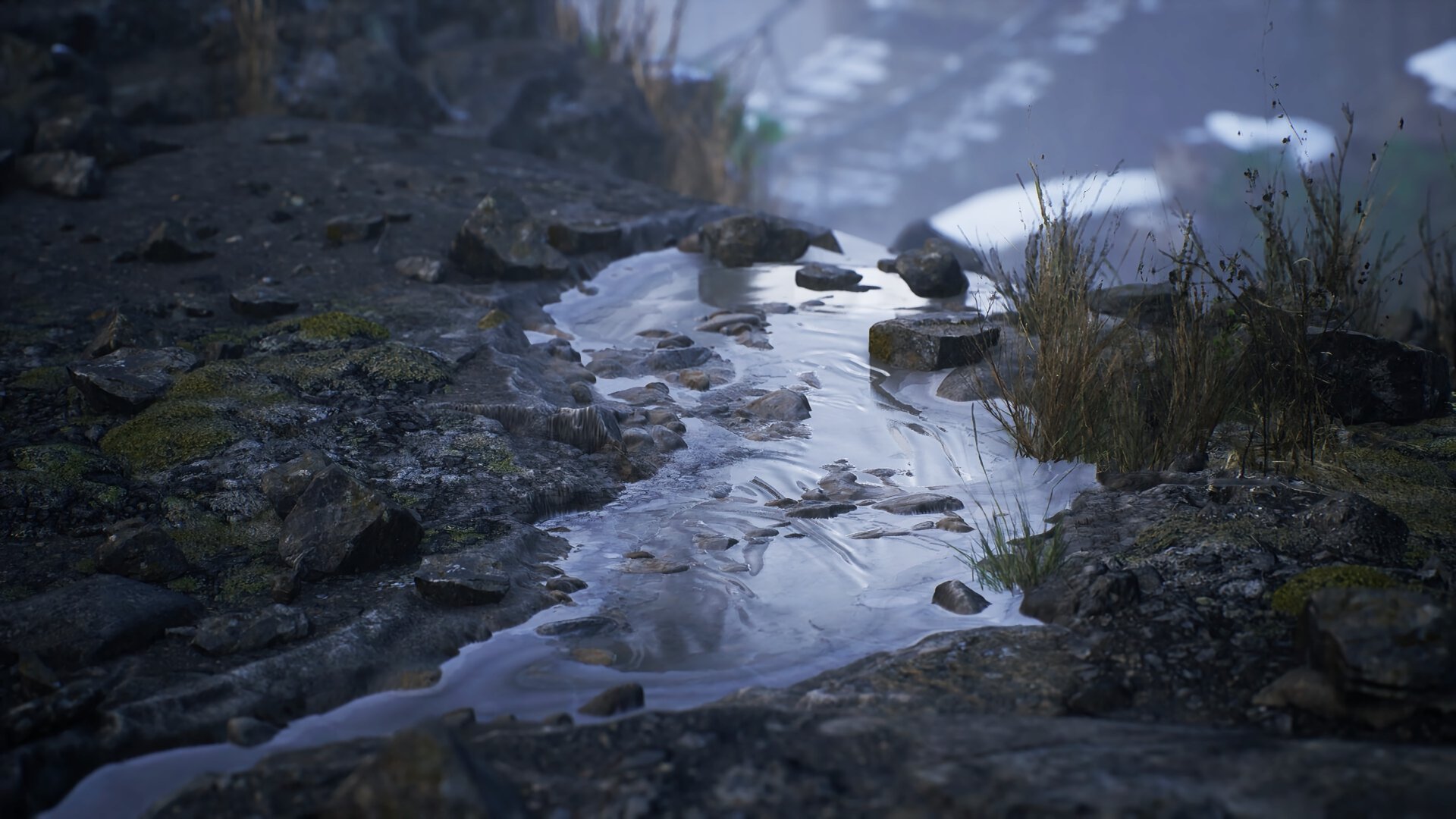 Download Nature Stream Image