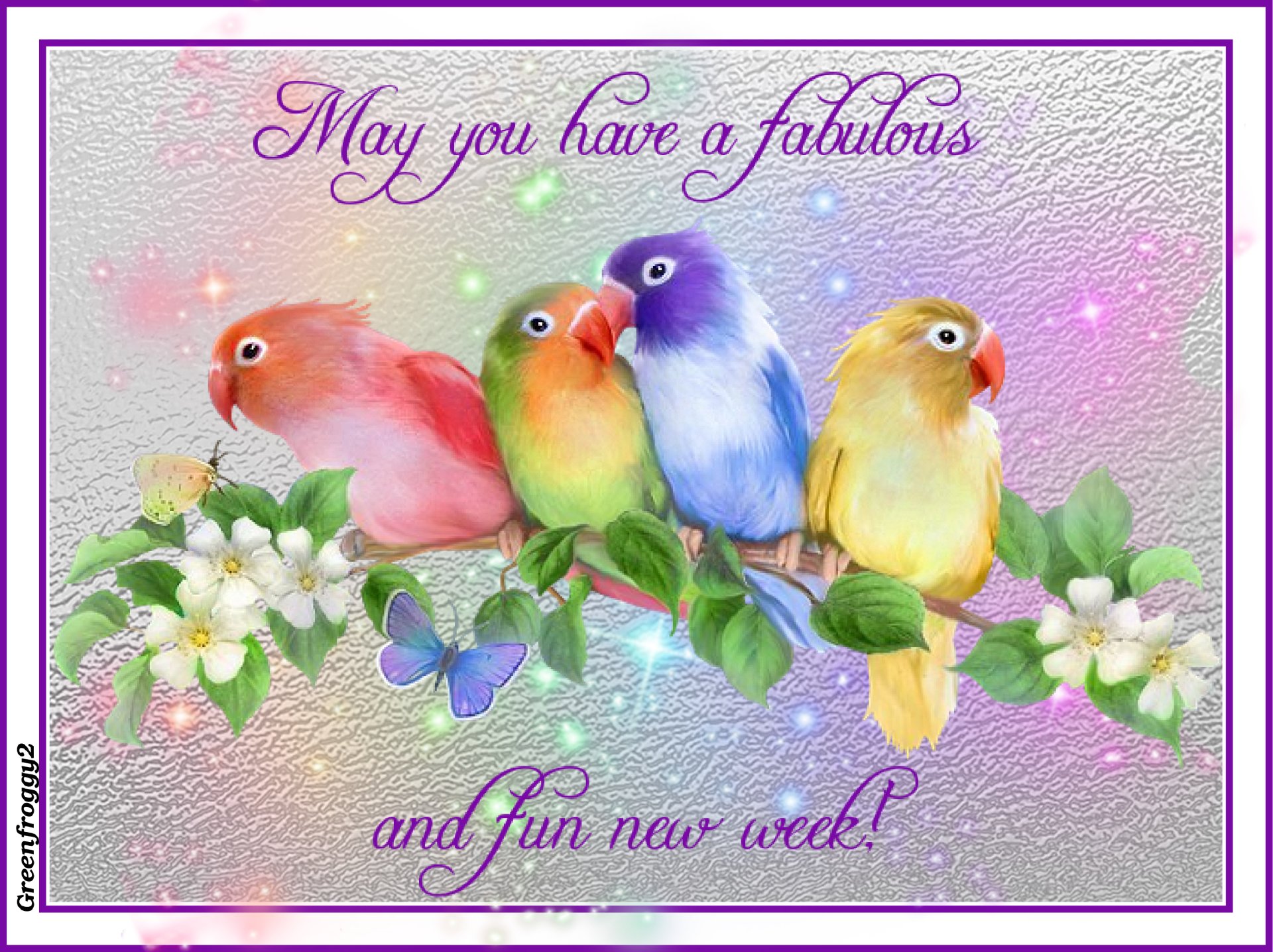 FUN WEEK by GREENFROGGY1