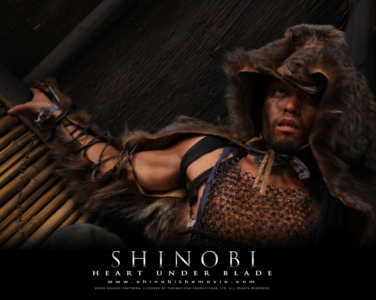 Download Movie Shinobi: Heart Under Blade Image