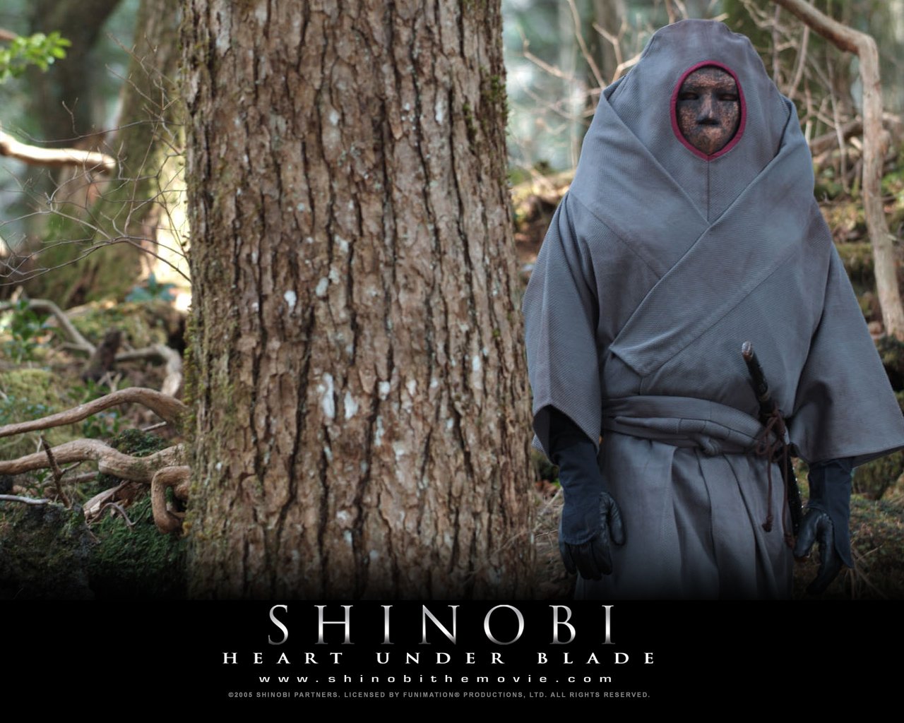 Download Movie Shinobi: Heart Under Blade Image
