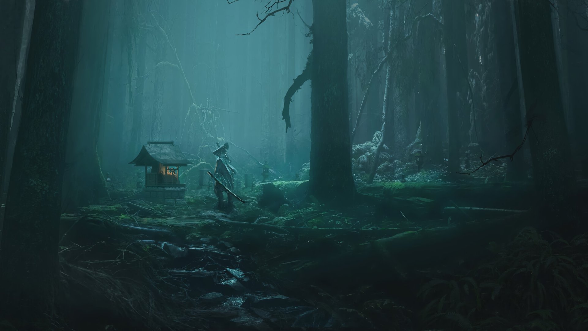 Forest Image - ID: 508701 - Image Abyss