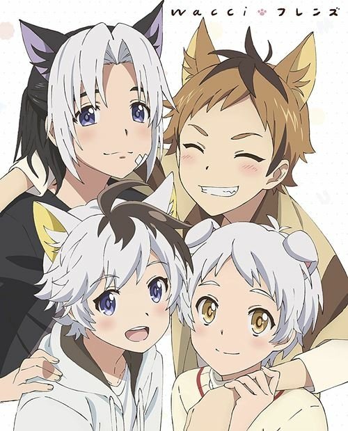 Uchitama?! Have You Seen My Tama? - Desktop Wallpapers, Phone Wallpaper, PFP, Gifs, and More!