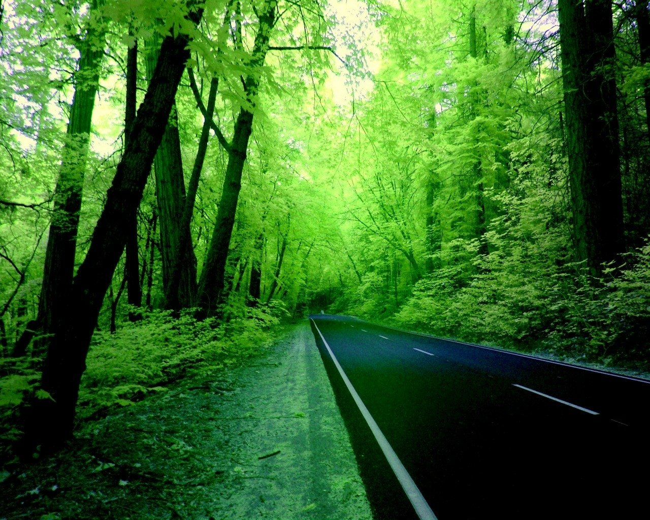 Road Image - ID: 513756 - Image Abyss