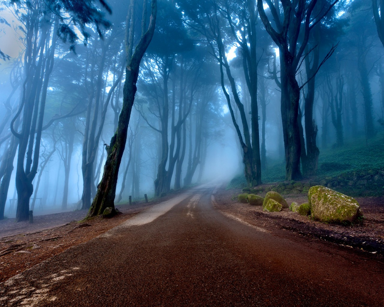 Download Nature Fog Image