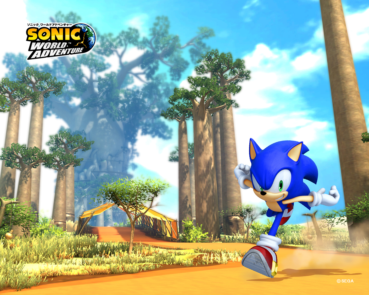 Sonic Unleashed Adventure Awaits!