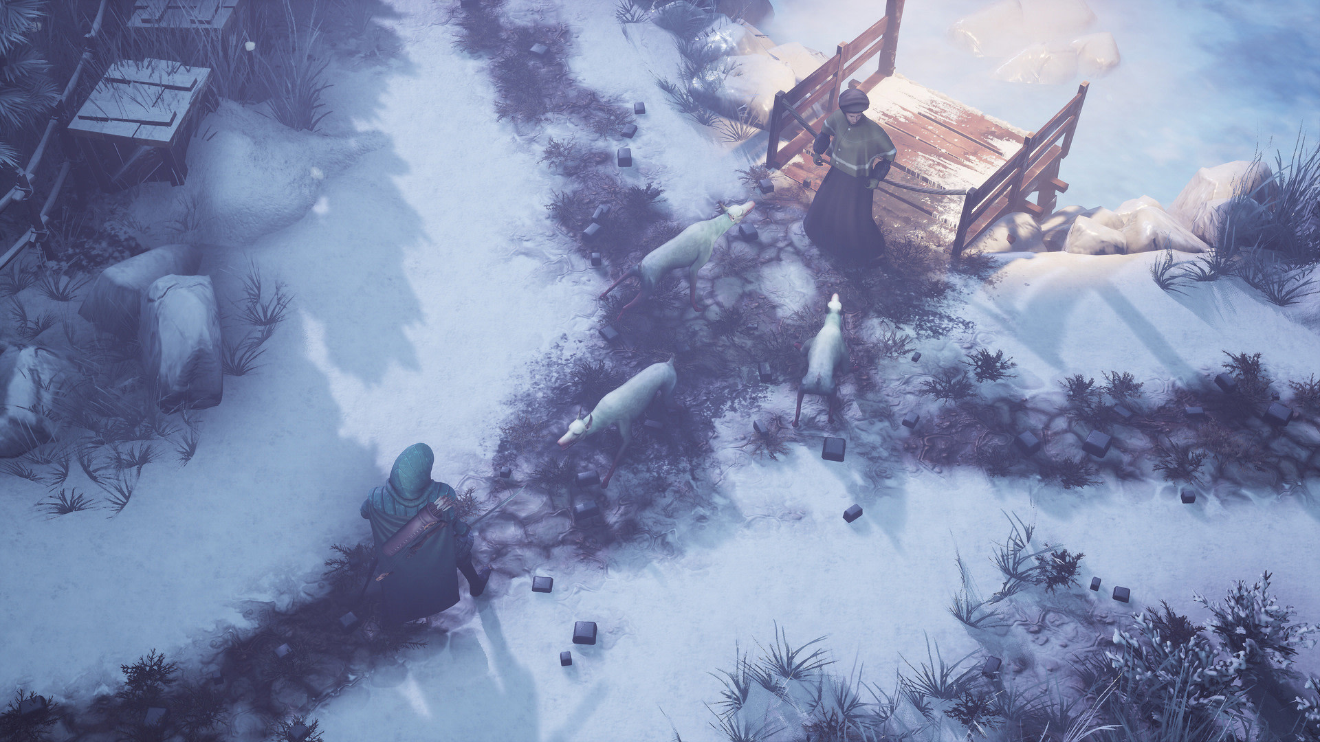 Winter Ember Picture - Image Abyss