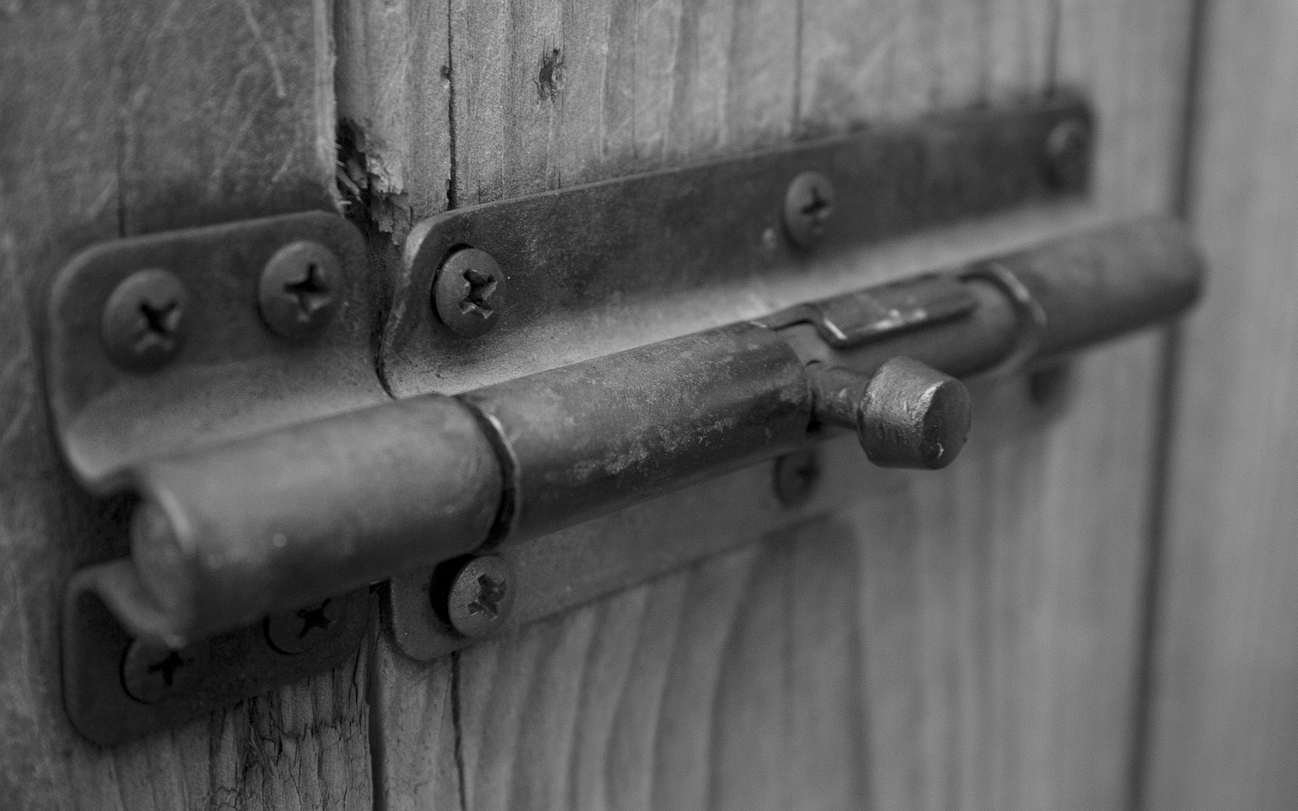 Secure Lock on a Rustic Door