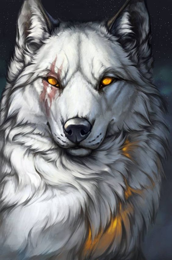 Fantasy Wolf Picture - Image Abyss