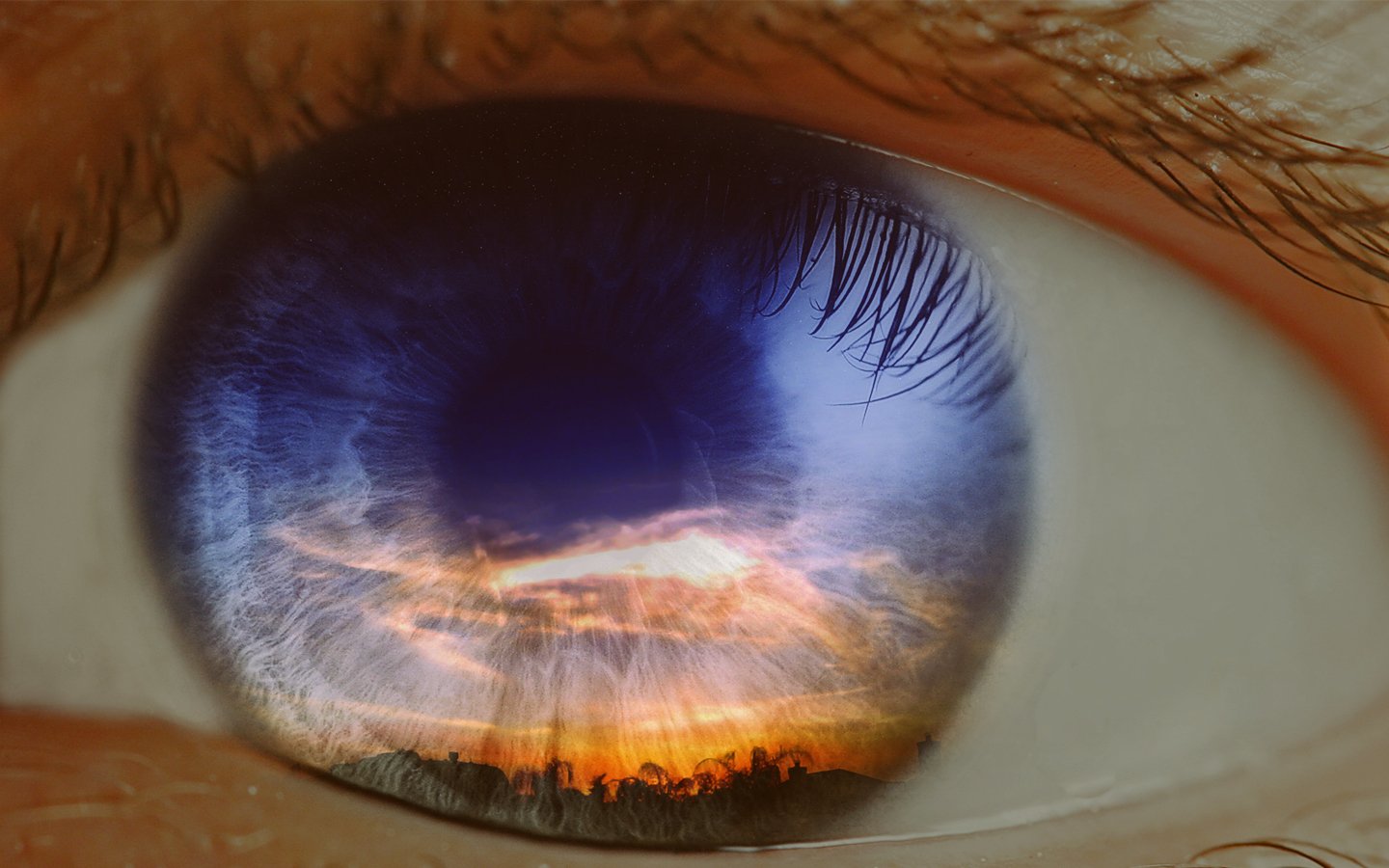 Eye Image - ID: 519282 - Image Abyss