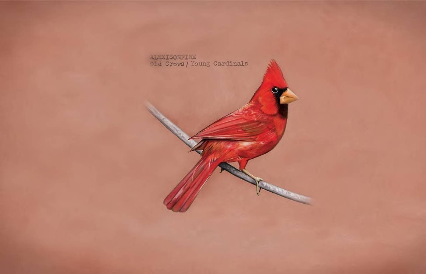 Majestic Cardinal Perched: Nature's Vibrant Red Bird