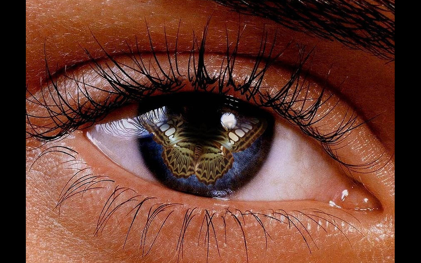 Butterfly-Eye by jinxsatx