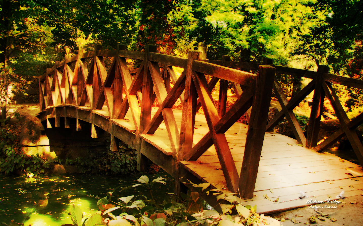 Rustic Wooden Bridge Amid Lush Greenery
