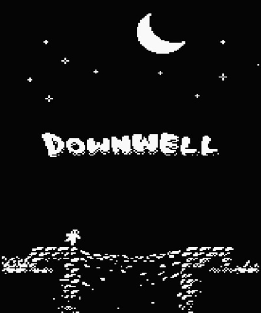 Downwell Video Game Box Art - ID: 52479 - Image Abyss