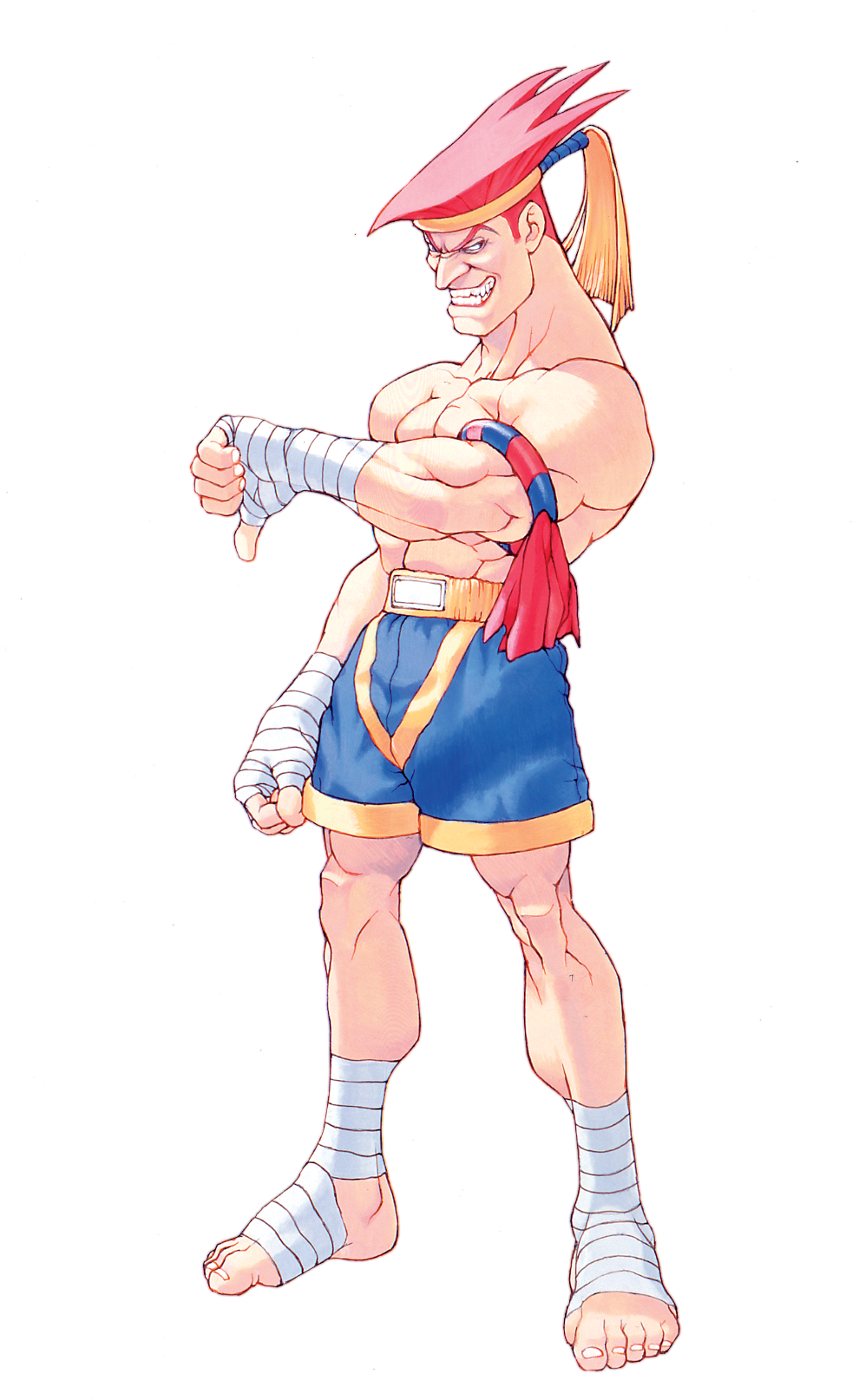 Download Adon (Street FIghter) Video Game Street Fighter Alpha 2 Image