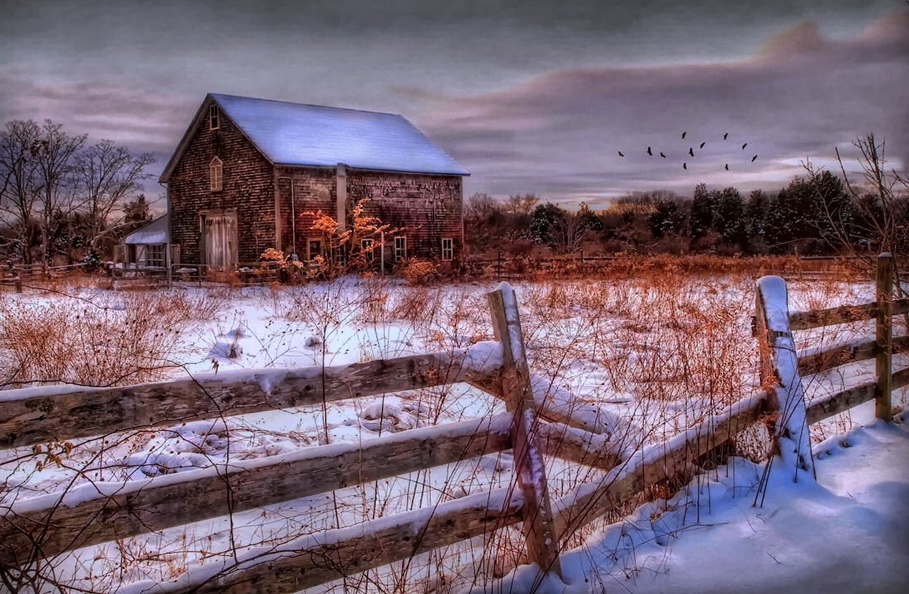 House Image - ID: 531753 - Image Abyss