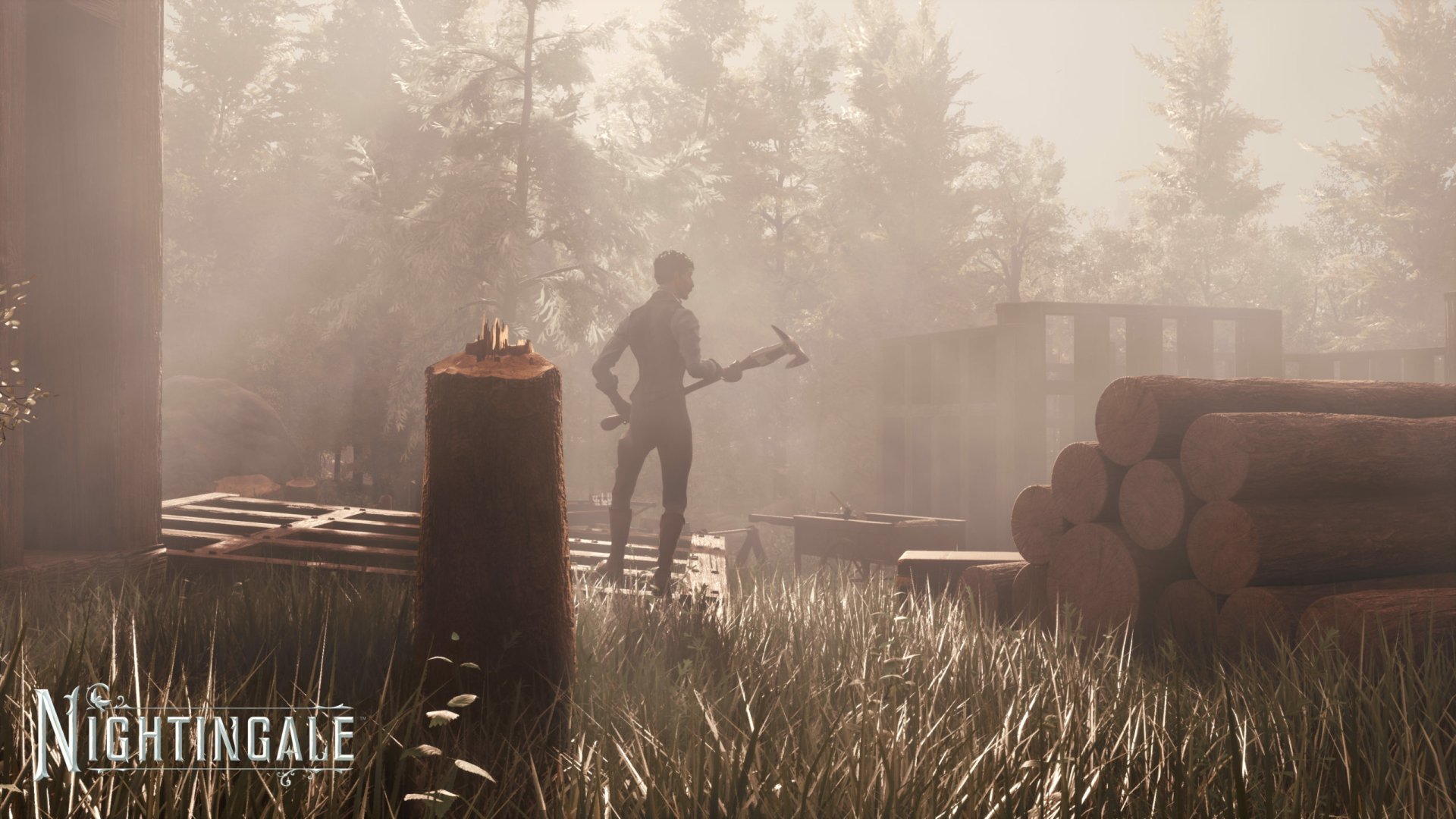 Nightingale Image - ID: 535911 - Image Abyss