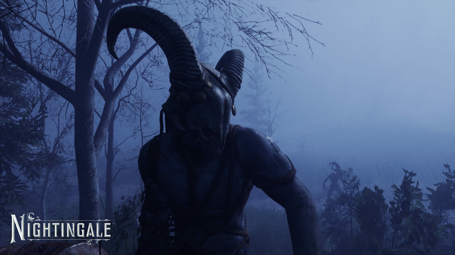 Nightingale Image - ID: 535917 - Image Abyss