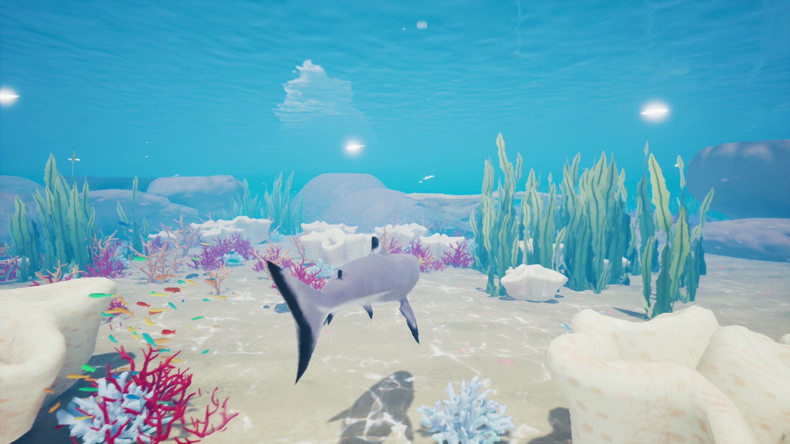 Tchia Picture - Image Abyss