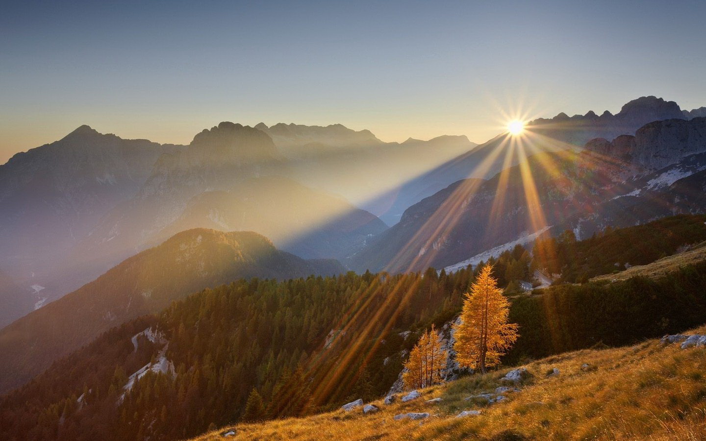 Sunbeam Picture - Image Abyss