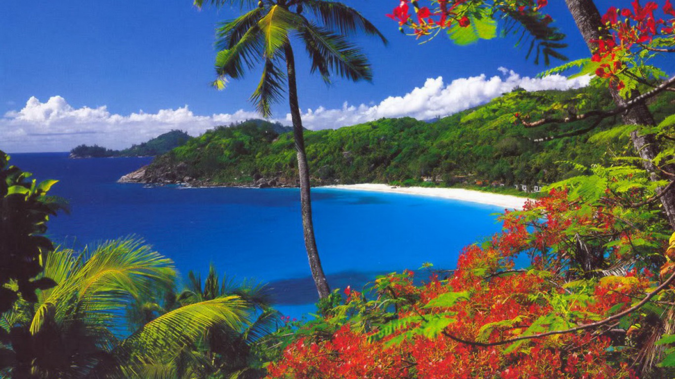 Serene Coastline: Embracing Nature's Ocean Beauty