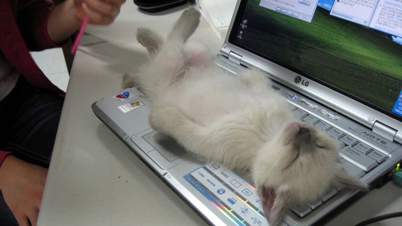 Bored With The Computer - Image Abyss