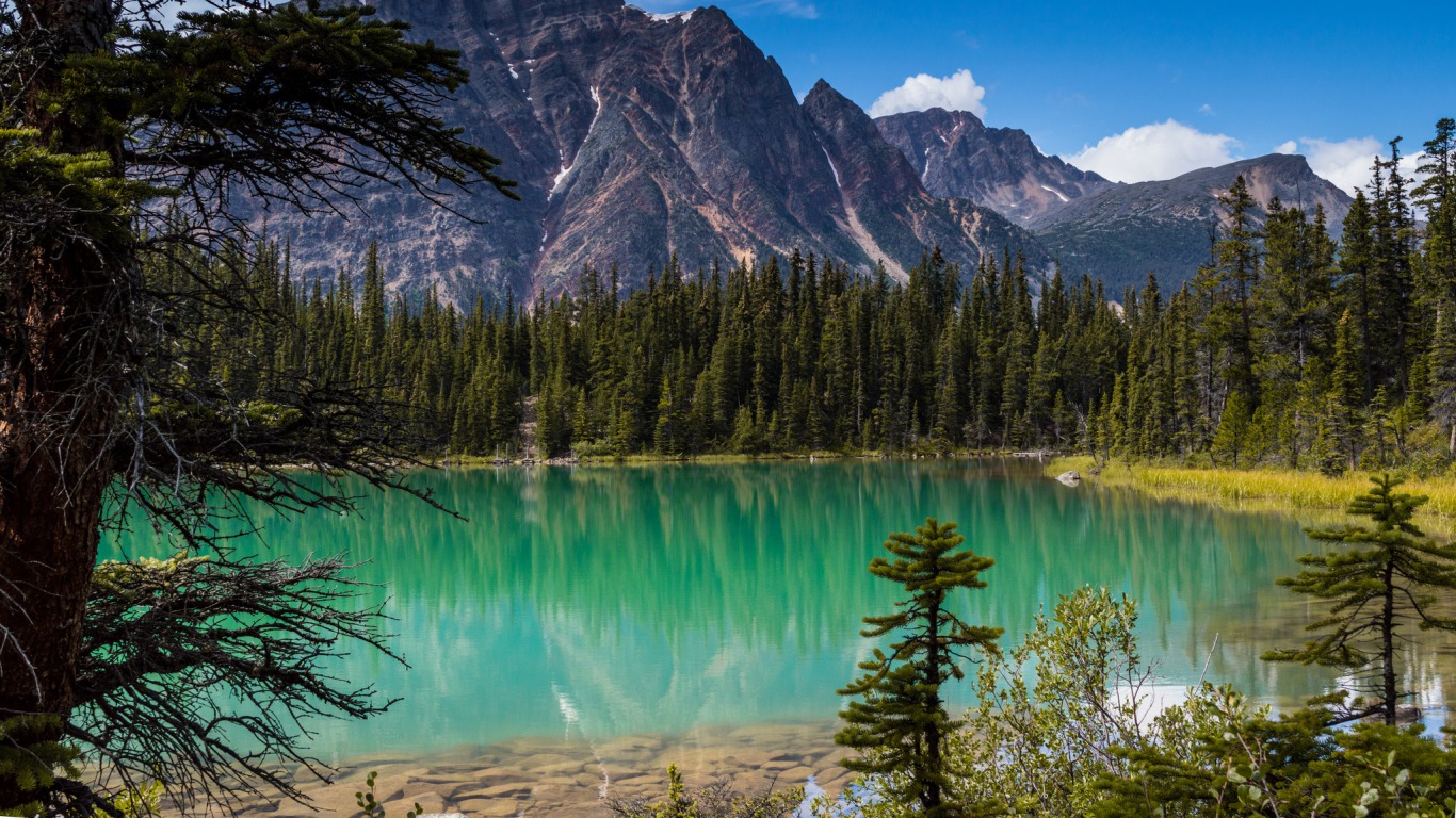 Download Jasper National Park Lake Cavell Nature Lake Image