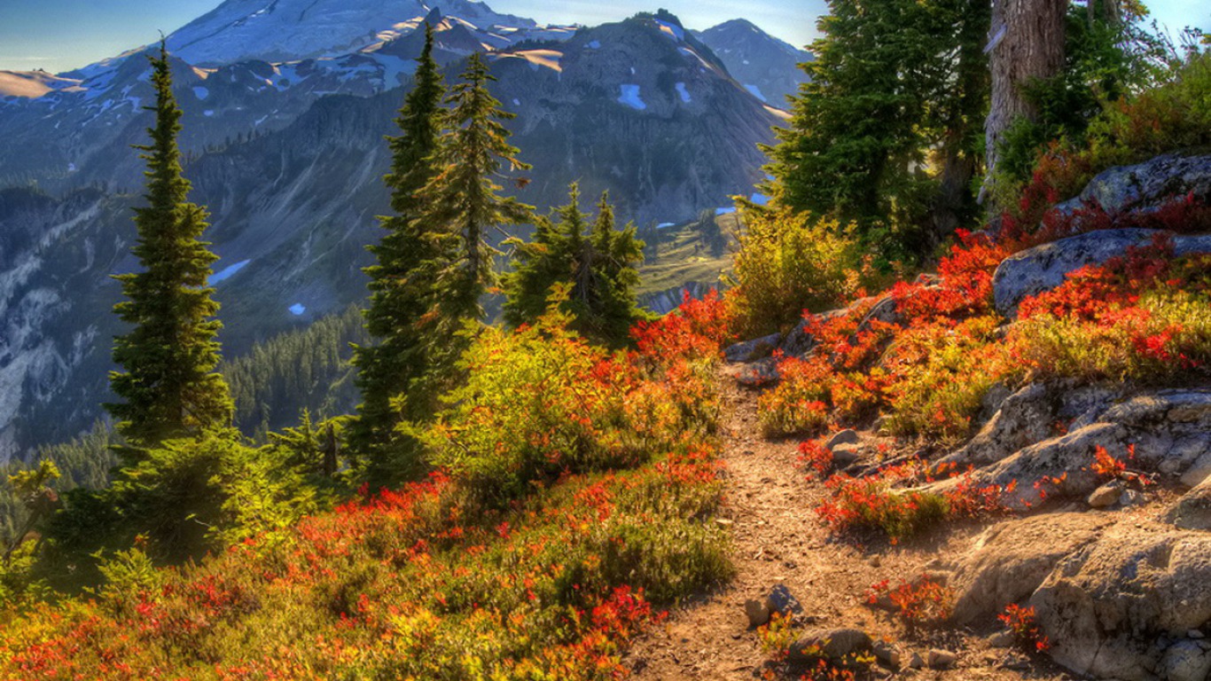 Serene Mountain Path Through Nature's Splendor