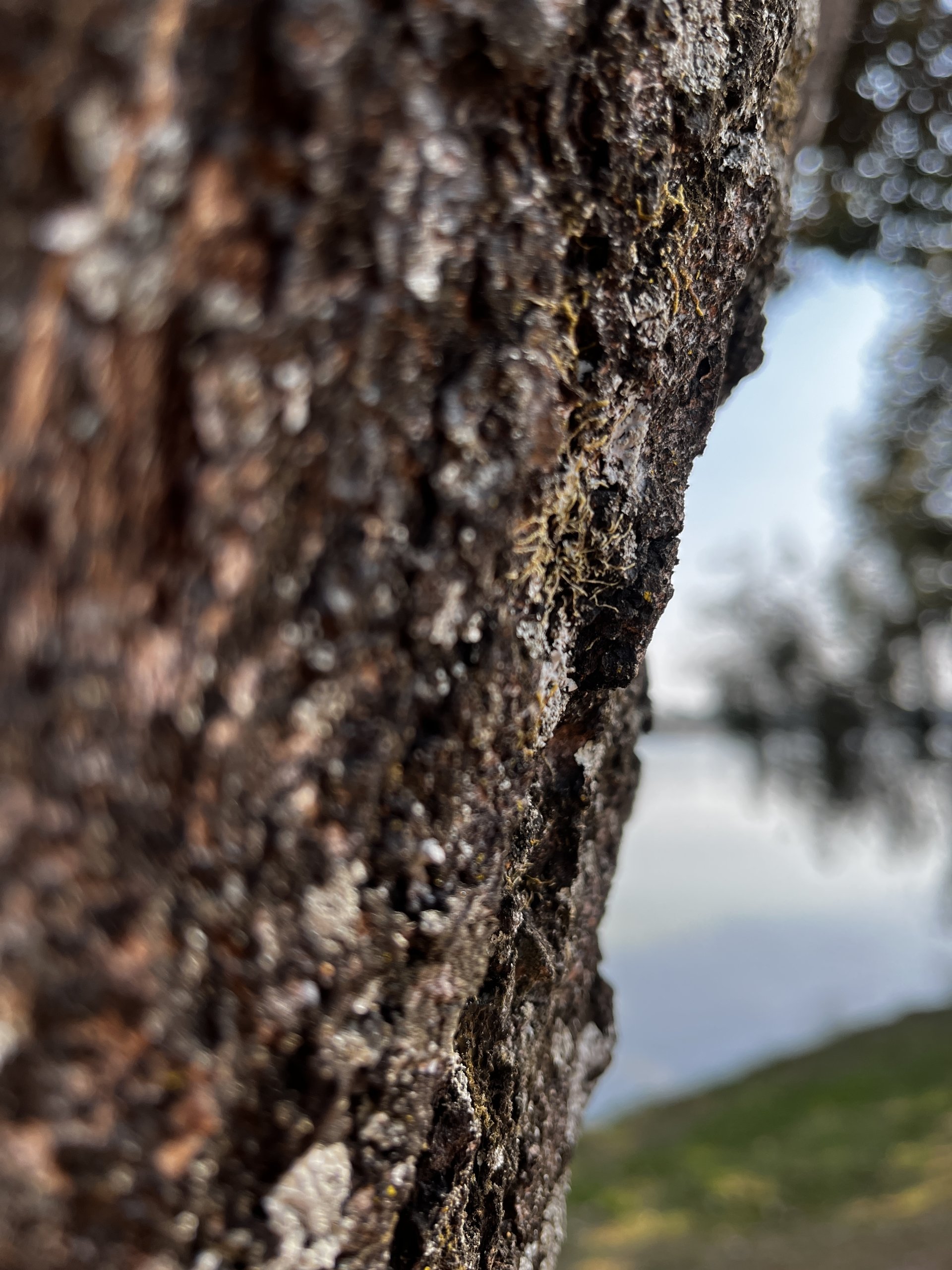 Natural Landscape - Desktop Wallpapers, Phone Wallpaper, PFP, Gifs, and ...