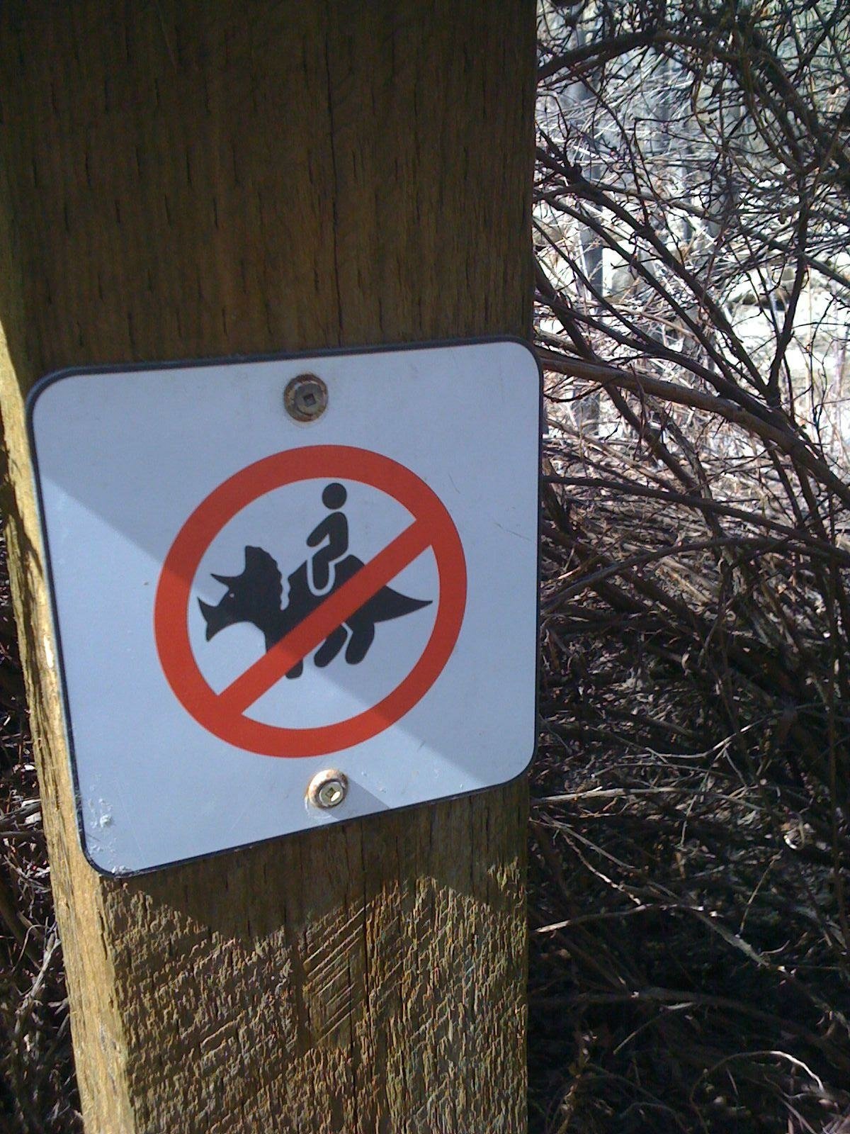 No Riding - Desktop Wallpapers, Phone Wallpaper, PFP, Gifs, and More!