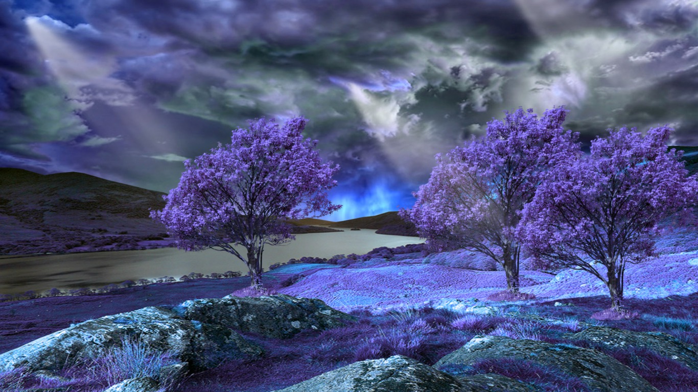 Lavender Trees - Image Abyss