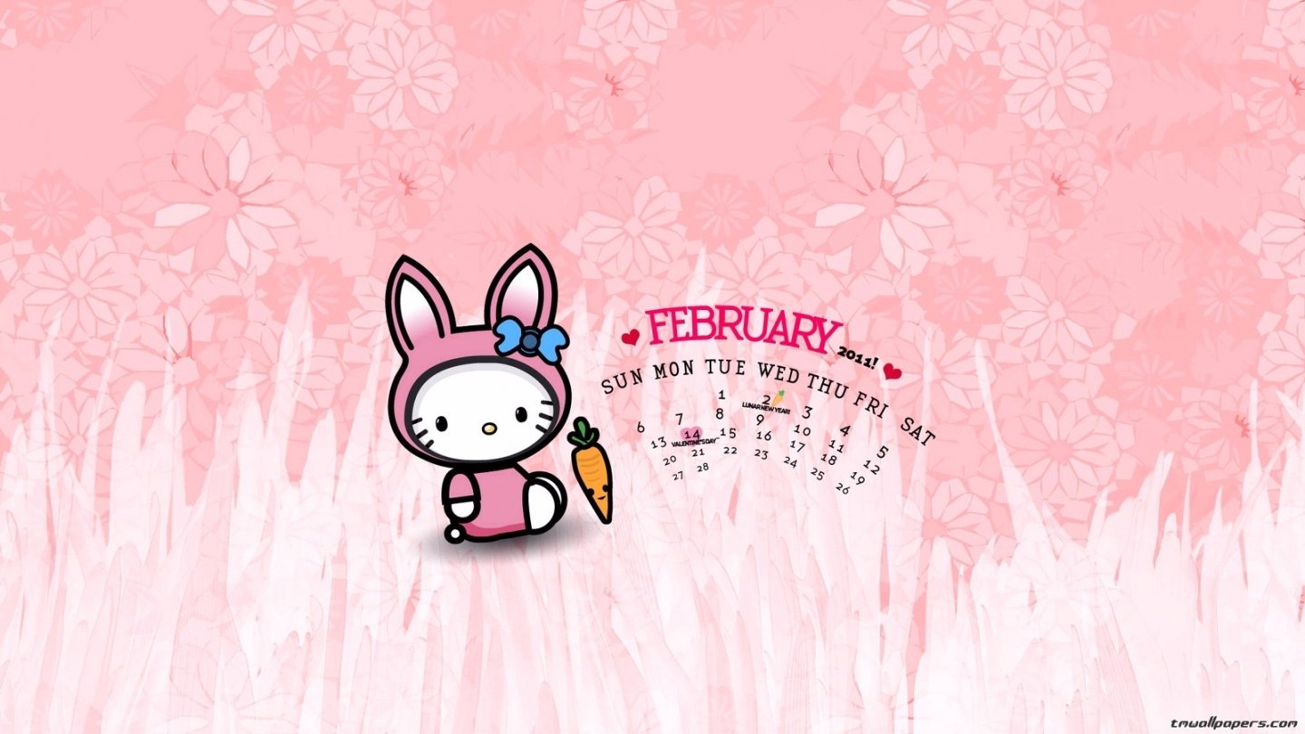 Hello Kitty's February Bunny Adventure