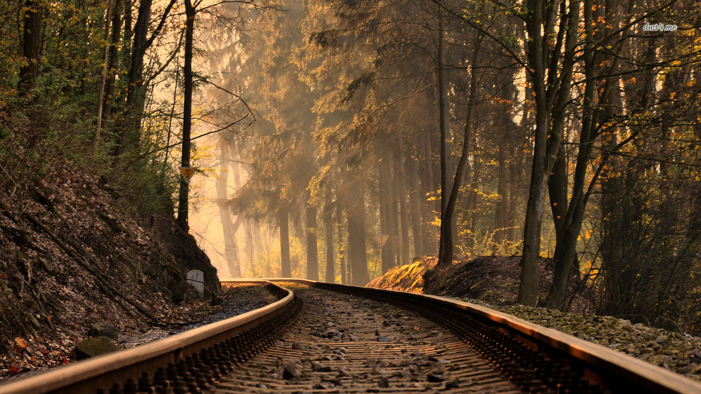 Serene Pathways: A Man-Made Railroad Through Nature