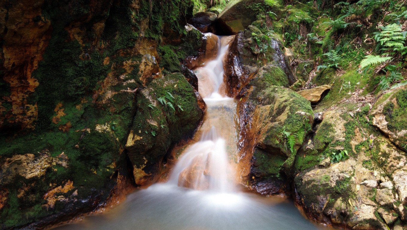 Moss-Cloaked Cascade