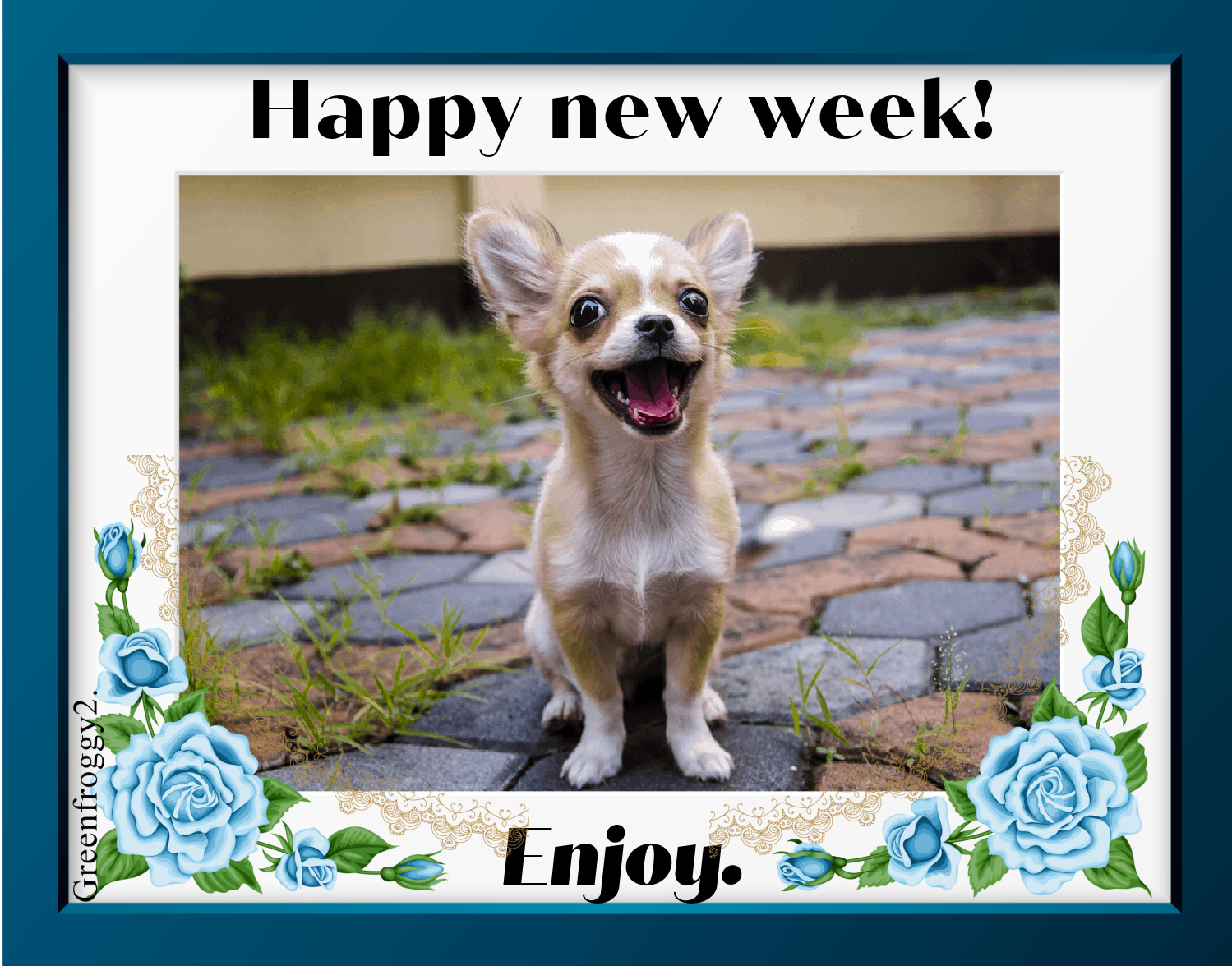 Cheerful Start: Happy New Week with a Smiling Pup!