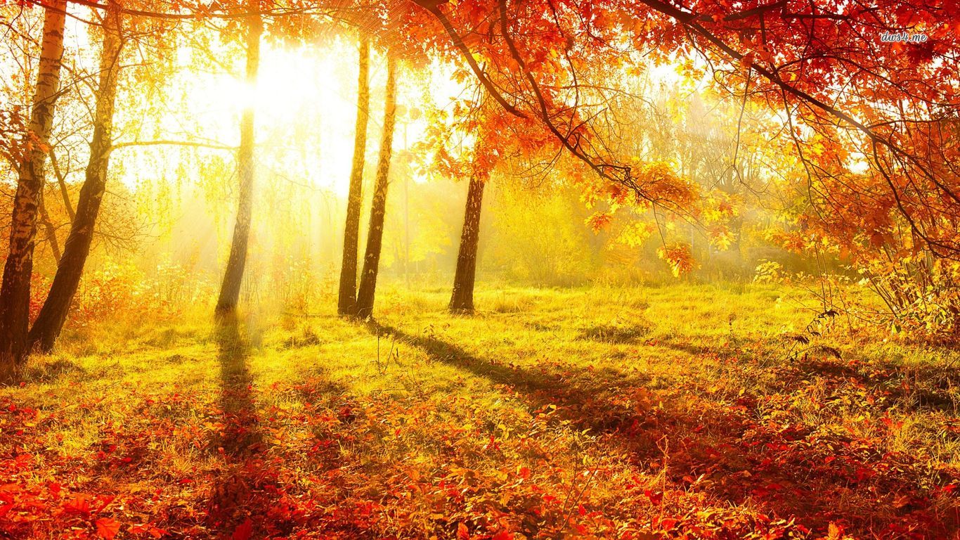 Download Nature Fall Image