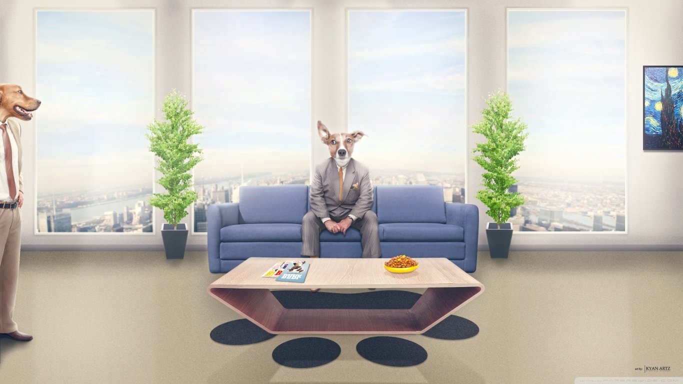 Business Dog’s Hilarious Office Break