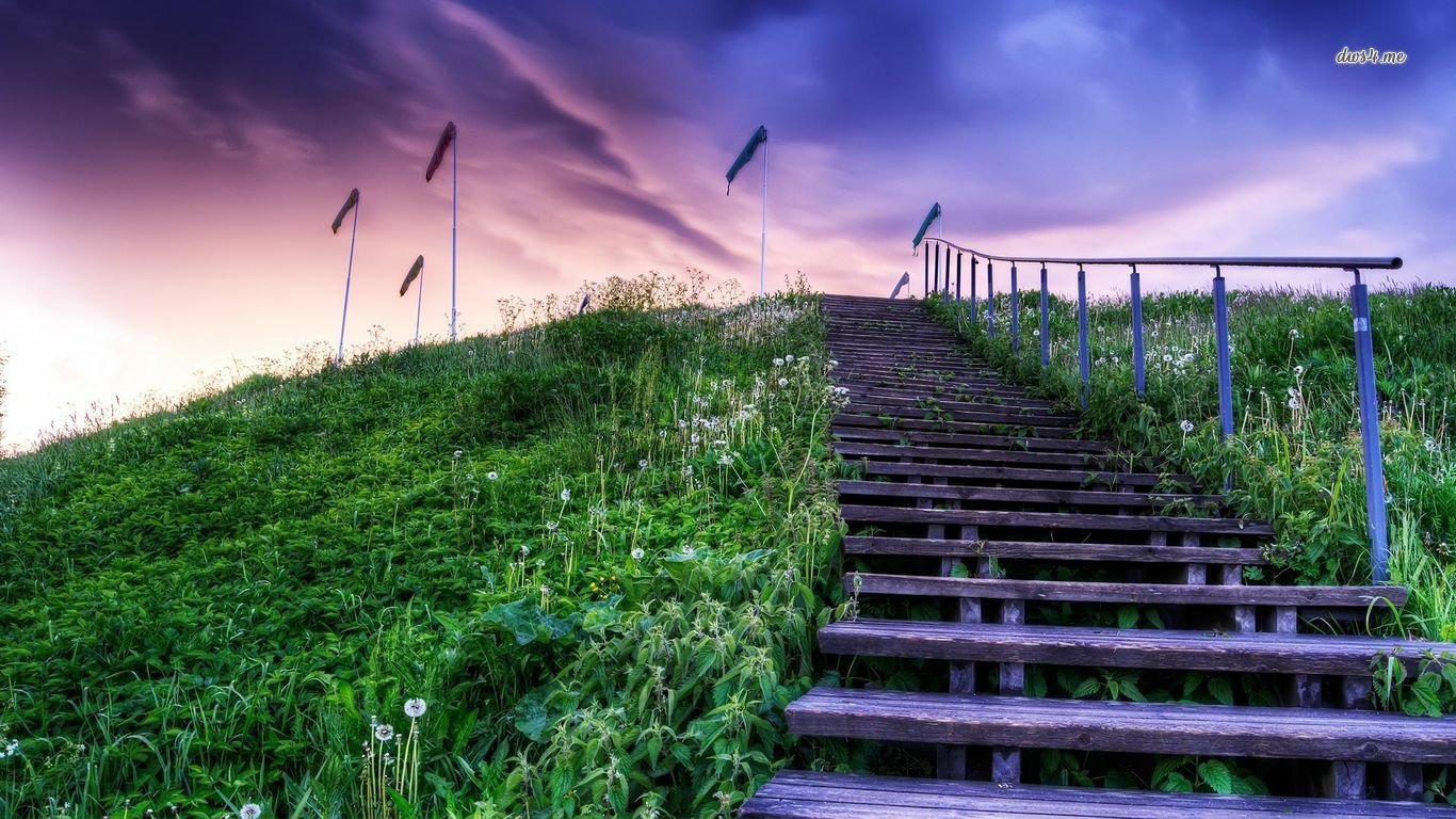 Steps to the Sky: A Man-Made Path through Nature’s Green