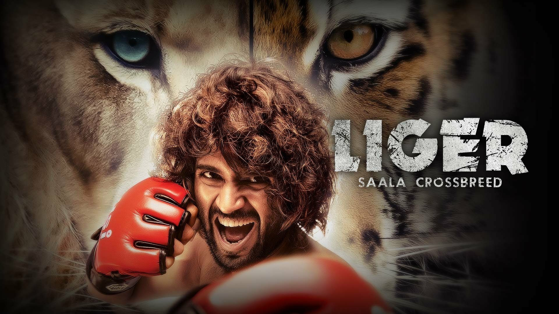 Liger - Desktop Wallpapers, Phone Wallpaper, PFP, Gifs, and More!