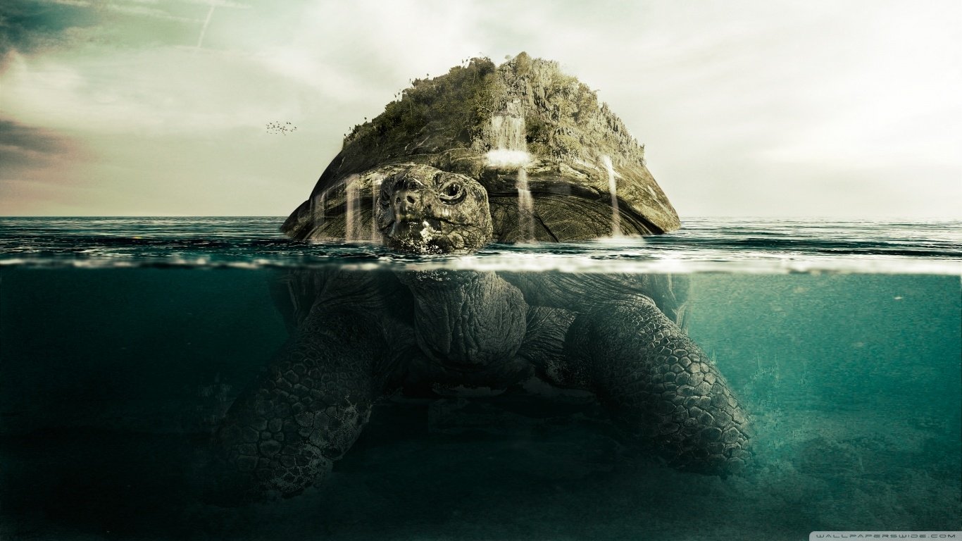 Turtle - Desktop Wallpapers, Phone Wallpaper, PFP, Gifs, and More!