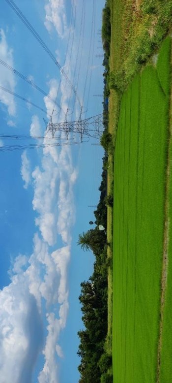 landscape - A Gallery By: rolexgaming At Alpha Coders