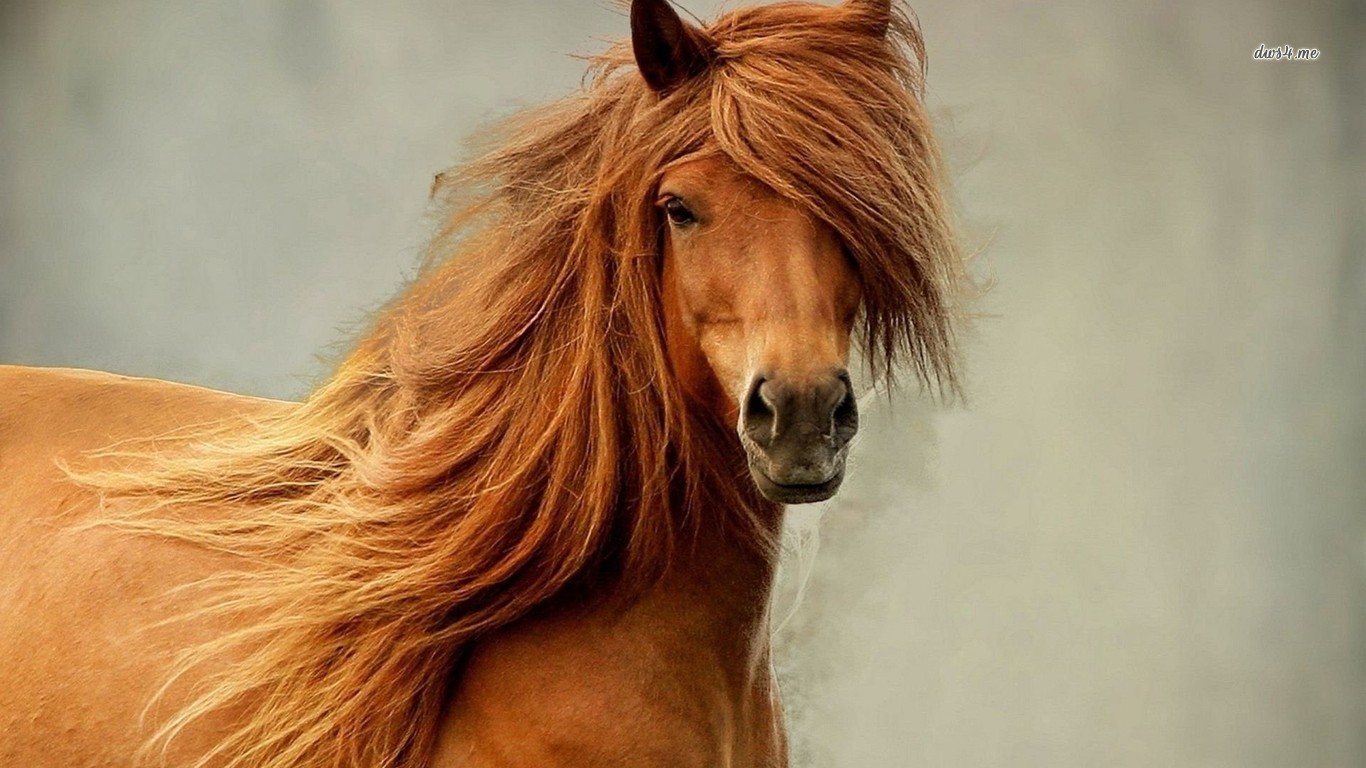 Majestic Horse with Flowing Mane
